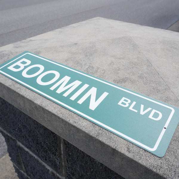 Custom Street Sign | Personalized Aluminum Name Plate | Pre-Drilled ...